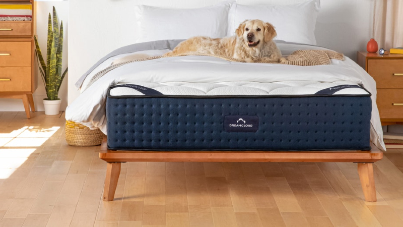 Katapult Financing Stores List - Buy Now Pay Later Stores